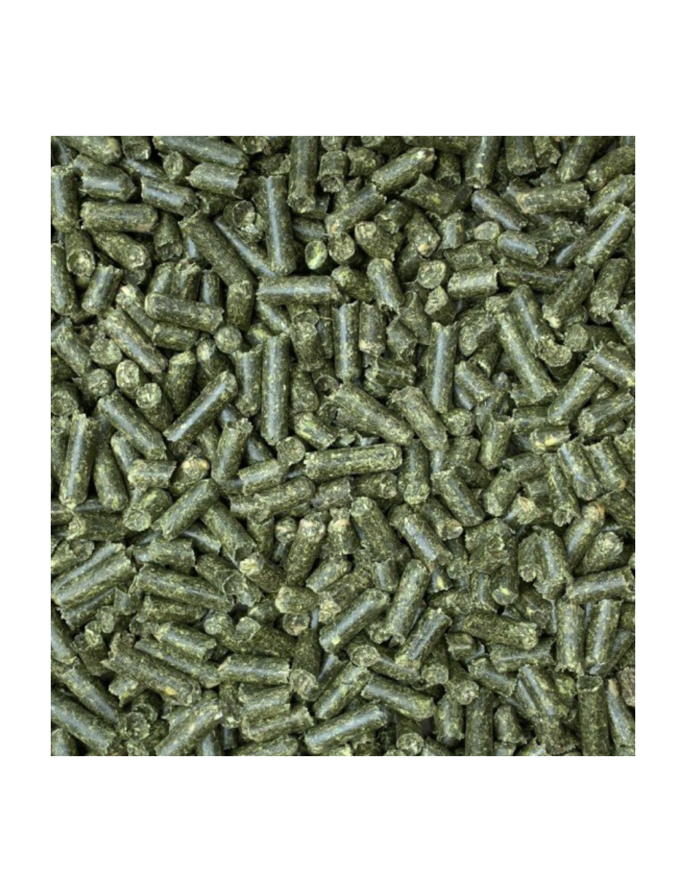 Dry Alfalfa